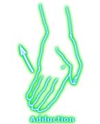 Range of Movement (ROM)