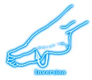 Range of Movement (ROM)